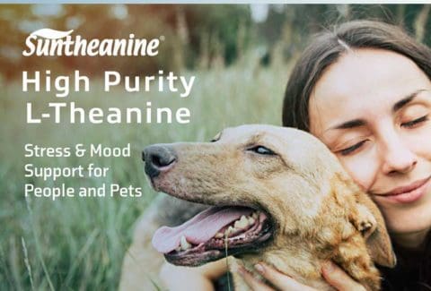 Infographic explains how Suntheanine can help with stress